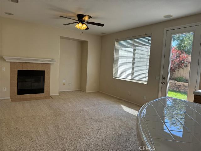 32585 Winterberry
