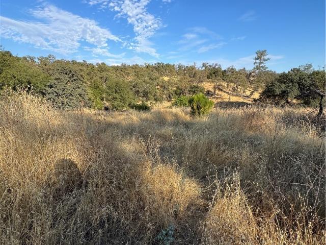 3258 Dry Creek Road
