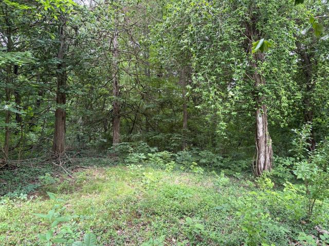 3258 Grassy Road