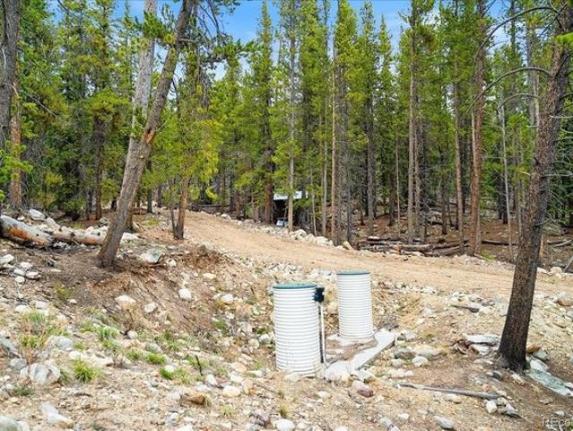 3259 Nugget Rd, Fairplay, CO 80440