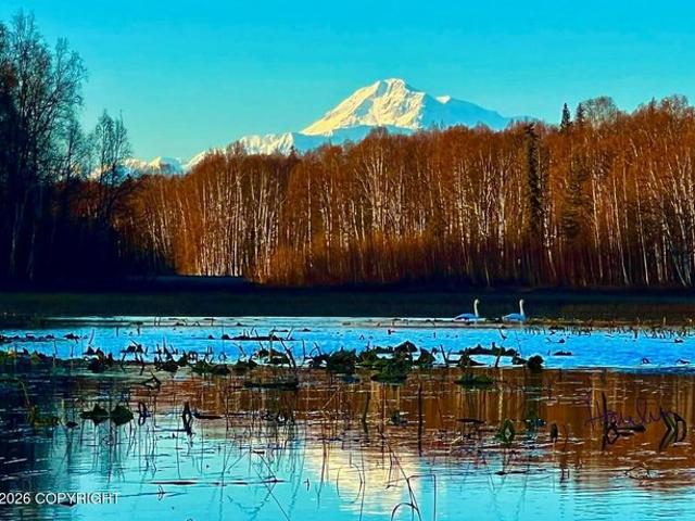 32500 Talkeetna Spur Rd, Talkeetna, AK 99676