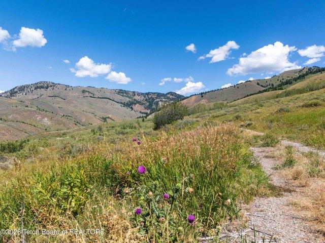 3250 E Wildhorse Rd, Jackson, WY 83001