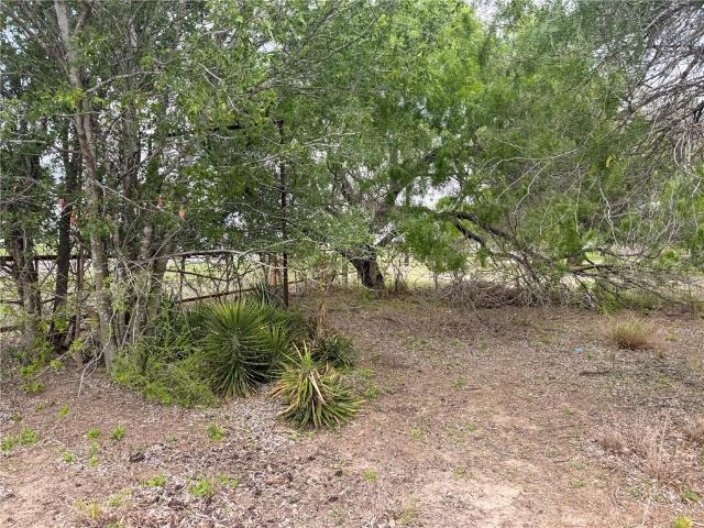 3250 Highway 281