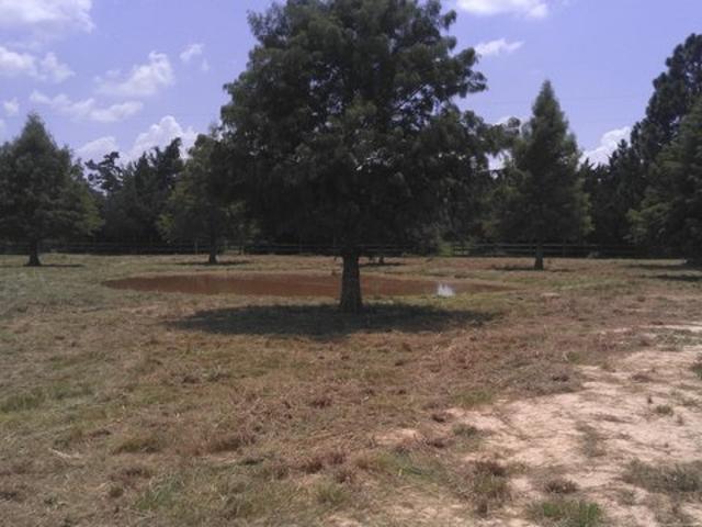 32519 Gadwall St, Brookshire, TX 77423