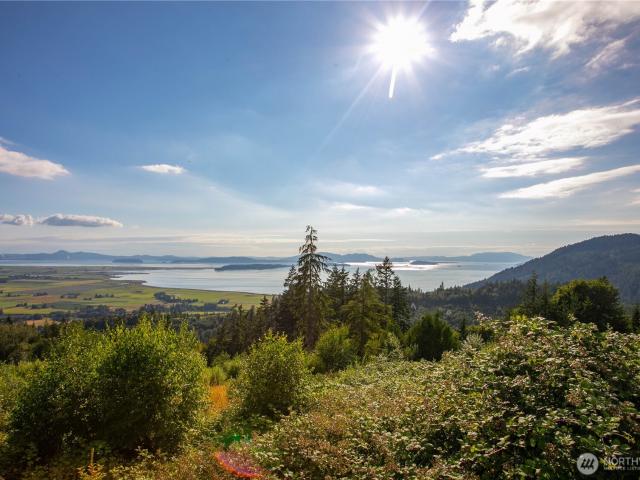 3251 Blanchard Knob Trail