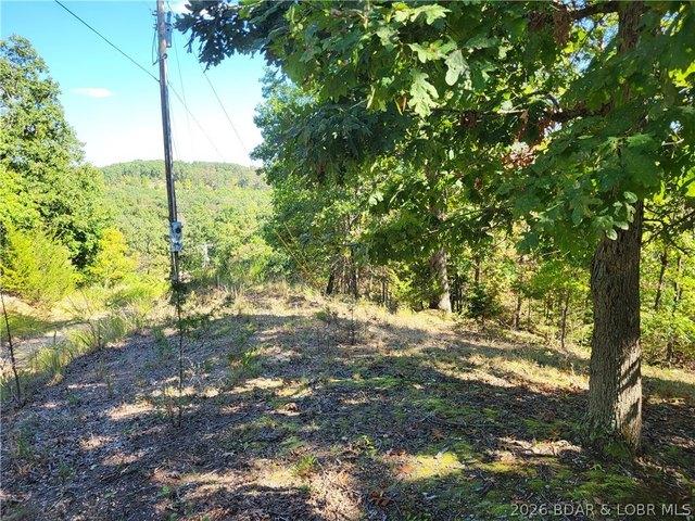 32534 Compromise Rd, Gravois Mills, MO 65037