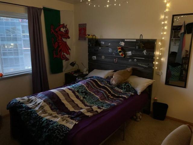 325 2 Bedroom Apartment for Rent at 325 S Hamilton St, Madison, WI 53703 Downtown Madison