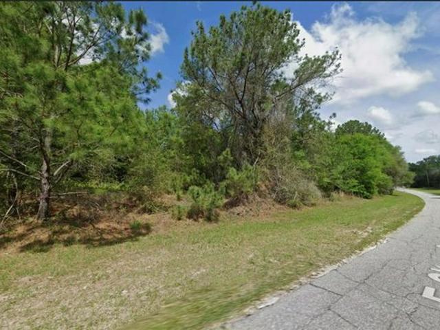 325 E Citrus Springs Blvd, Citrus Springs, FL 34434