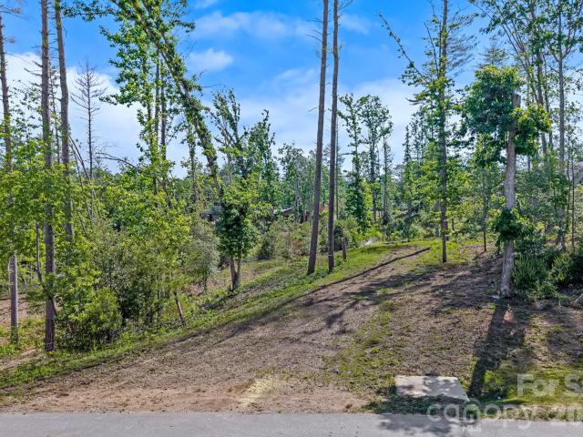 325 Flowering Vine Court
