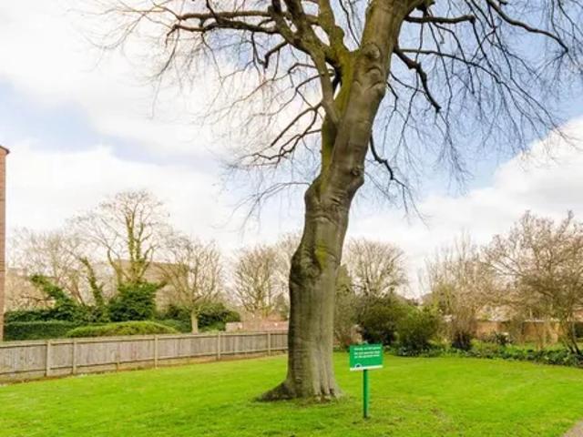 325 Upper Richmond Road, London, SW15 6SU, United Kingdom | 1 bed apartment for rent #134169051 | Rentberry