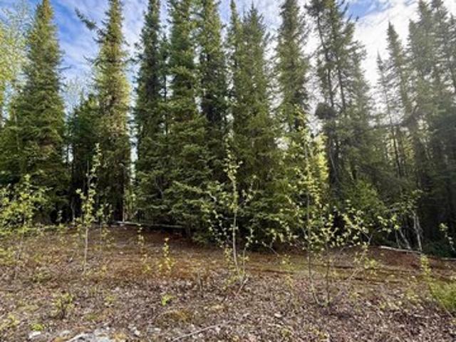 32664 Strauss Ct, Soldotna, AK 99669
