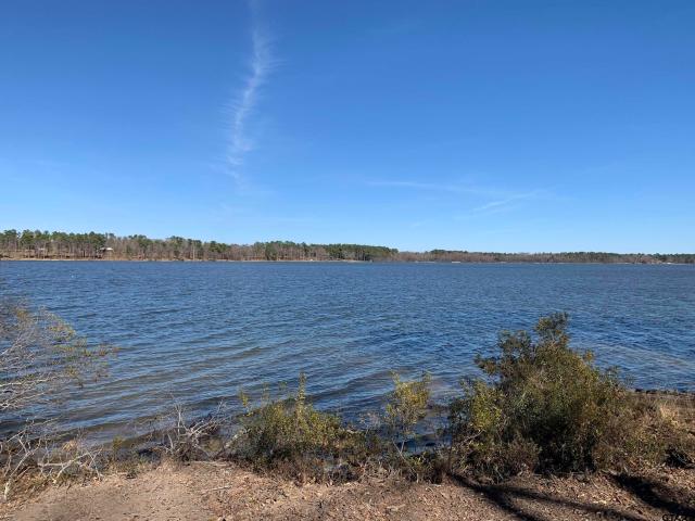3266 Shadow Pine Dr, Lot 60, Larue, TX 75770 | MLS #25004
