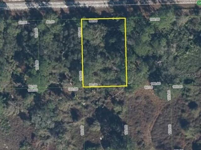 3268 Garden Glen Ave, Lake Placid, FL 33852