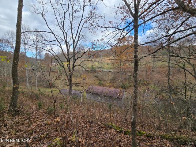 3263 Trents Chapel Rd