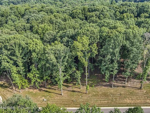 326 Flip Flop Way, Loudon, TN 37774