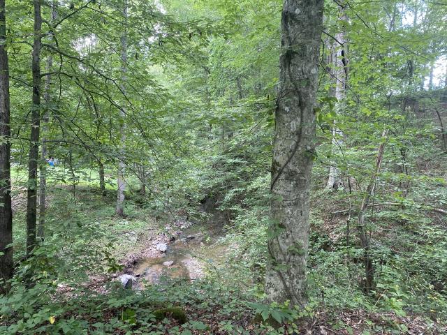 326 Sherman Rd