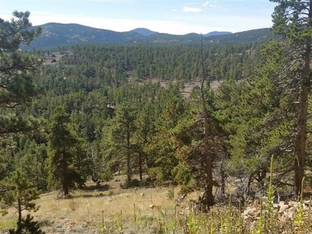 32778 Janelle Ln, Golden, CO 80403