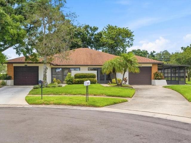 3277 Gorse Ct, Palm Harbor, FL 34684