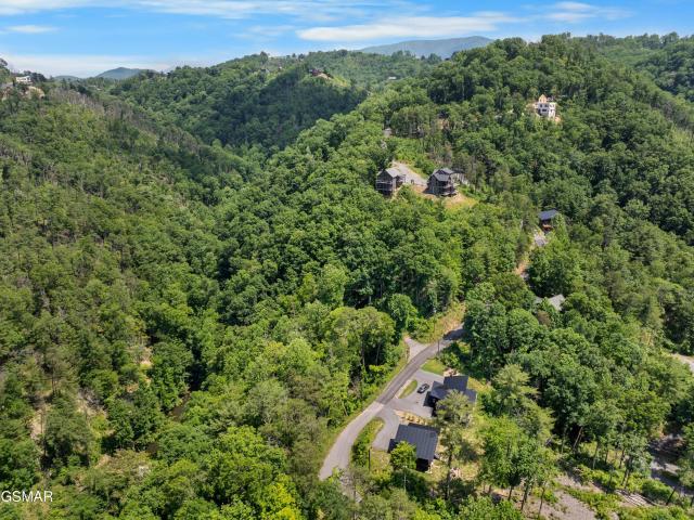 3278 Emerald Springs Loop