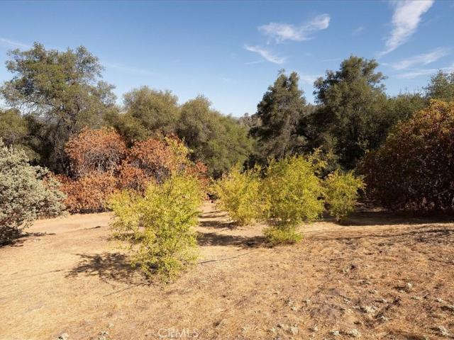 3279 Quail Run Road