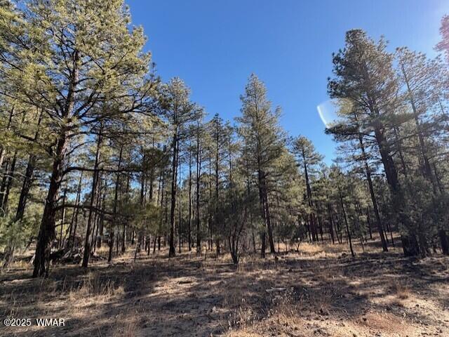 3270 Black Oak Loop