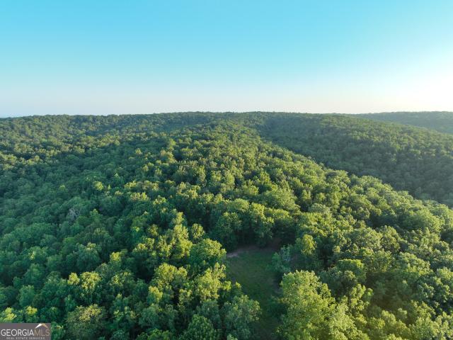 3270 Jeff Davis Road