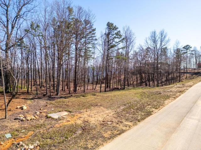 3271 River Gorge Drive
