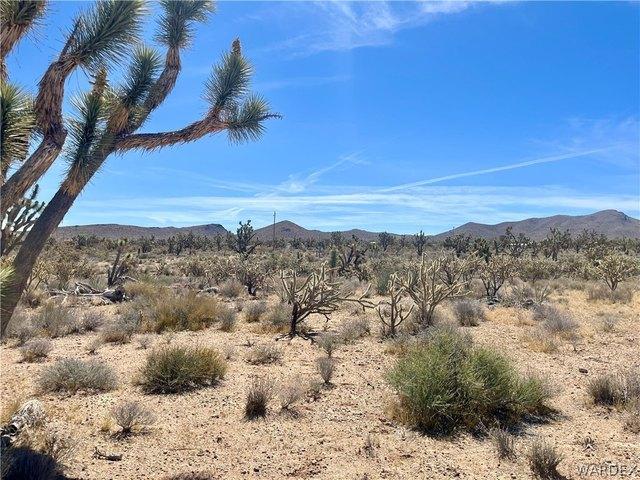 327 02 Stallion Dr, Dolan Springs, AZ 86441
