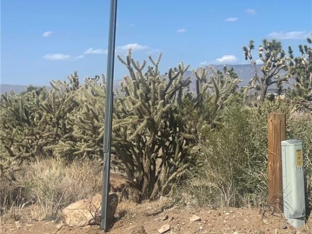 327 06 54 th St, Dolan Springs, AZ 86441 | MLS #035913