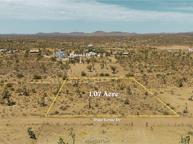 327 06 Palo Verde Dr, Dolan Springs, AZ 86441
