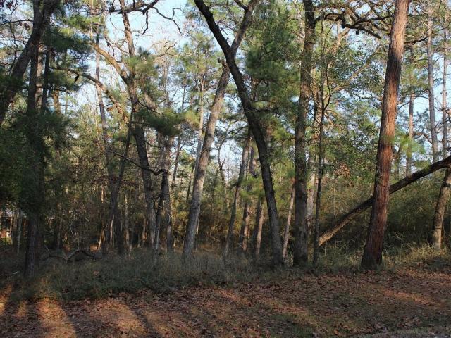 327 Coral Gables, Trinity, TX 75862 | MLS #32141
