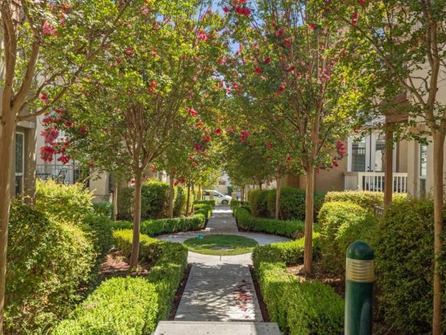 327 Bella Ridge Terrace