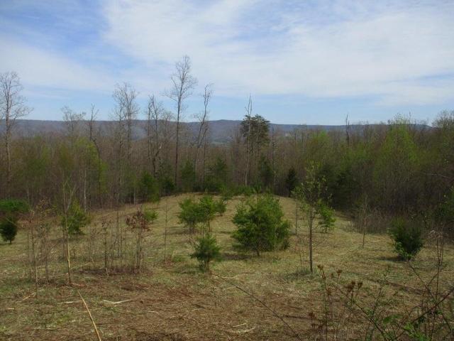 327 Odyssey Farms Rds, Pikeville, TN 37367 | MLS #1508
