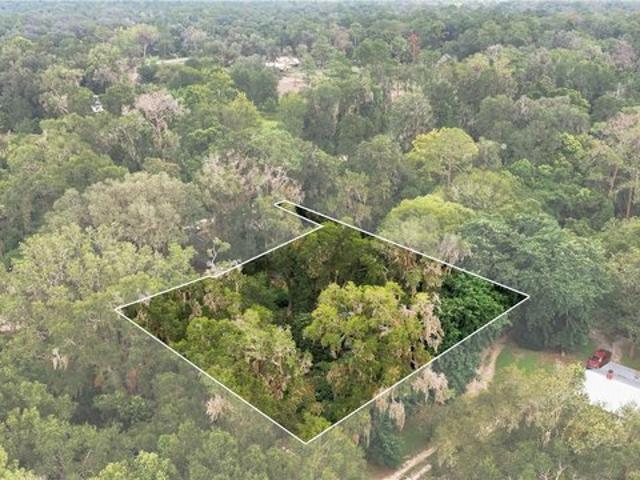 327 SE County Road 234, Gainesville, FL 32641