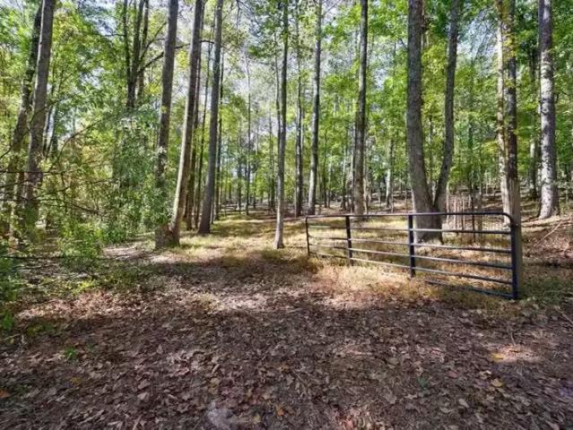 327 Sycamore Dr, Canton, GA 30115 MLS 7474010