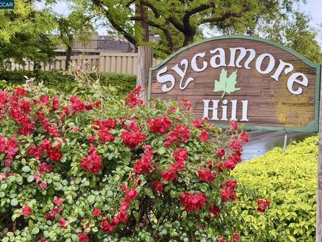 327 Sycamore Hill Ct, Danville, CA 94526