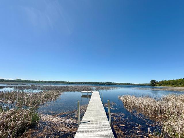32847 Lilypad Landing Dr