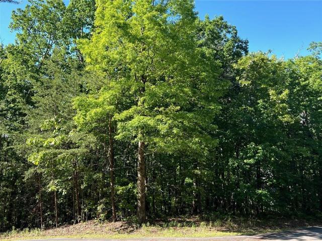 3285 Wood Poppy Dr, Jasper, GA 30143 | Compass