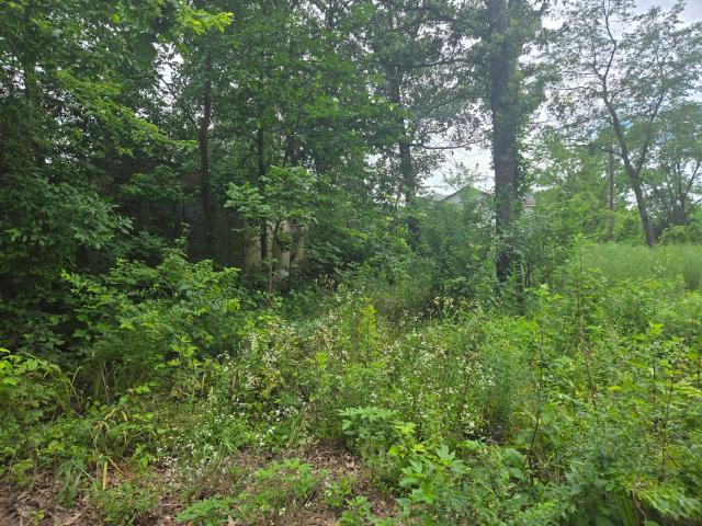 3287 Pomme De Terre Circle