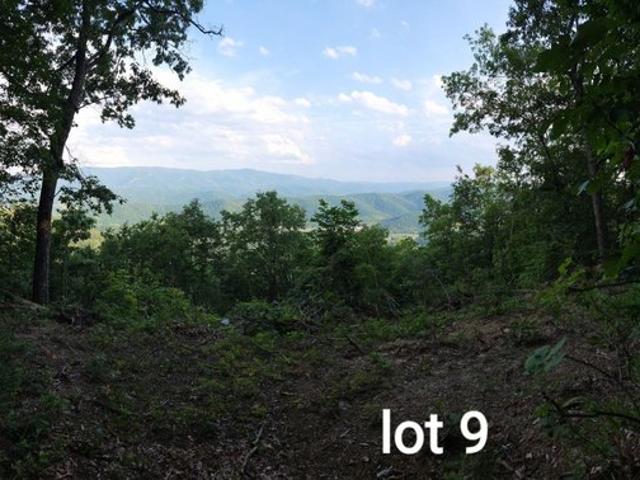 3280 Reese Mountain Rd, Elliston, VA 24087