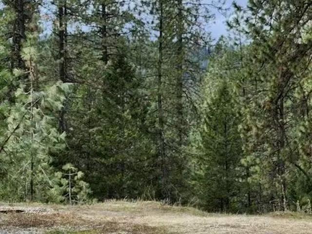 3280 Viewridge Ln, Valley, WA 99181 654720894