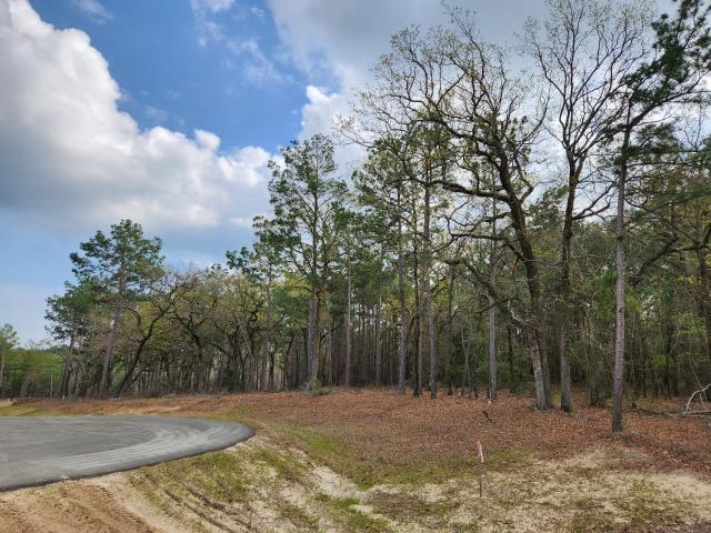 3281 Shadow Pine Dr Lot