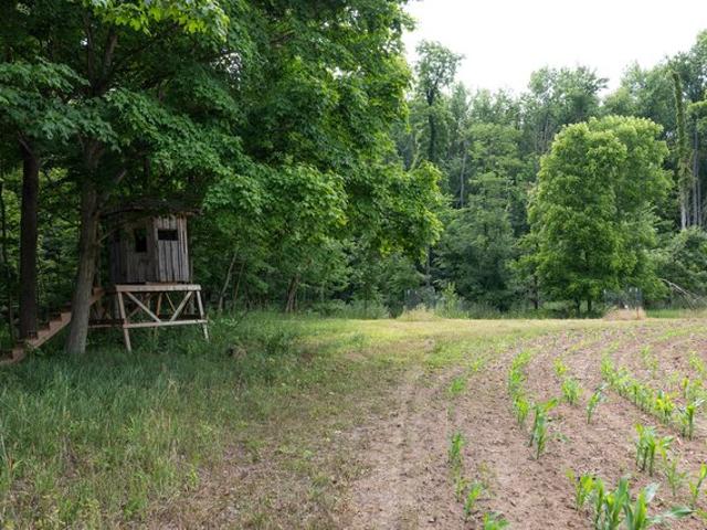 3282 Jerome Rd N, North Adams, MI 49262