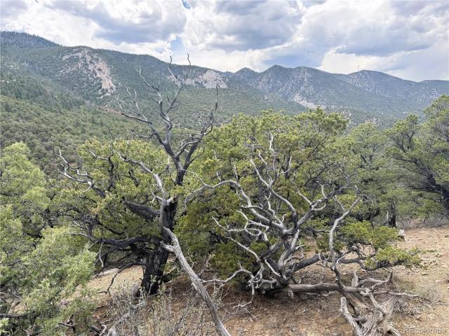 3282 Lower Camp Road