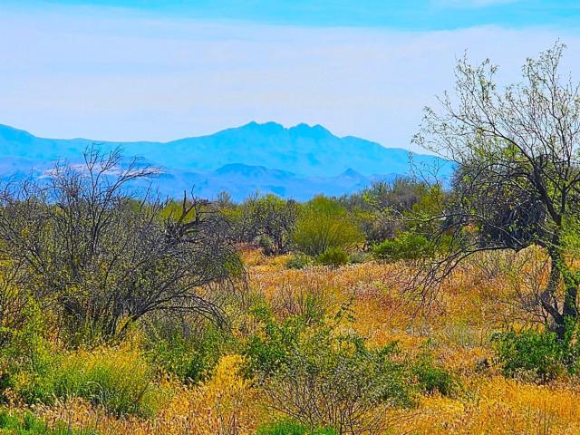 32833 N 137th St, Unit 1, Scottsdale, AZ 85262 | MLS #6999 | Compass