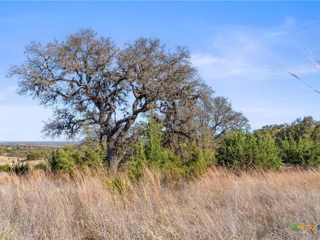 328 Cypress View Drive
