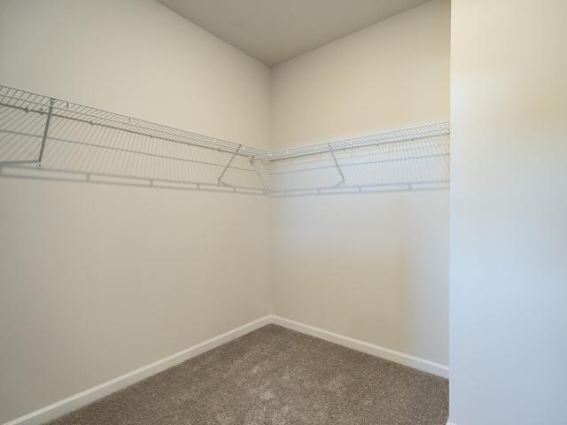 328 Artimis Drive