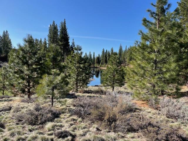 328 Blacktail Ridge, Portola, CA 96122 | MLS #20250