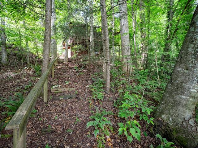 328 Forest Lakes