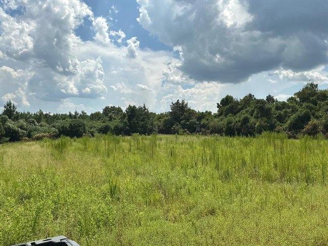 328 Sasser Rd, Brantley, AL 36009